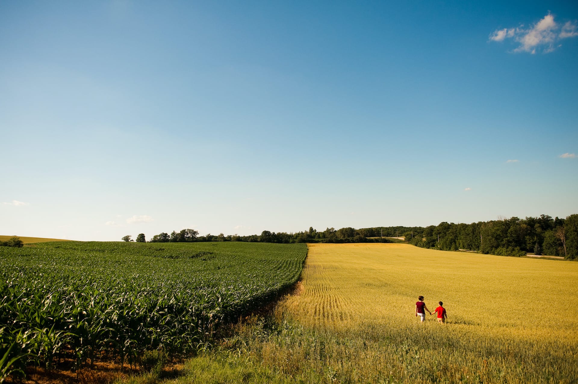 Self-Directed Services in Wisconsin - GT Independence